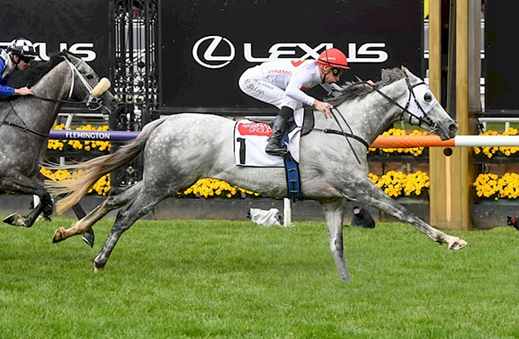 LOVE TAP Winning Scenes on MELBOURNE CUP Day from Flemington LOVE TAP Winning Scenes on MELBOURNE CUP Day from Flemington